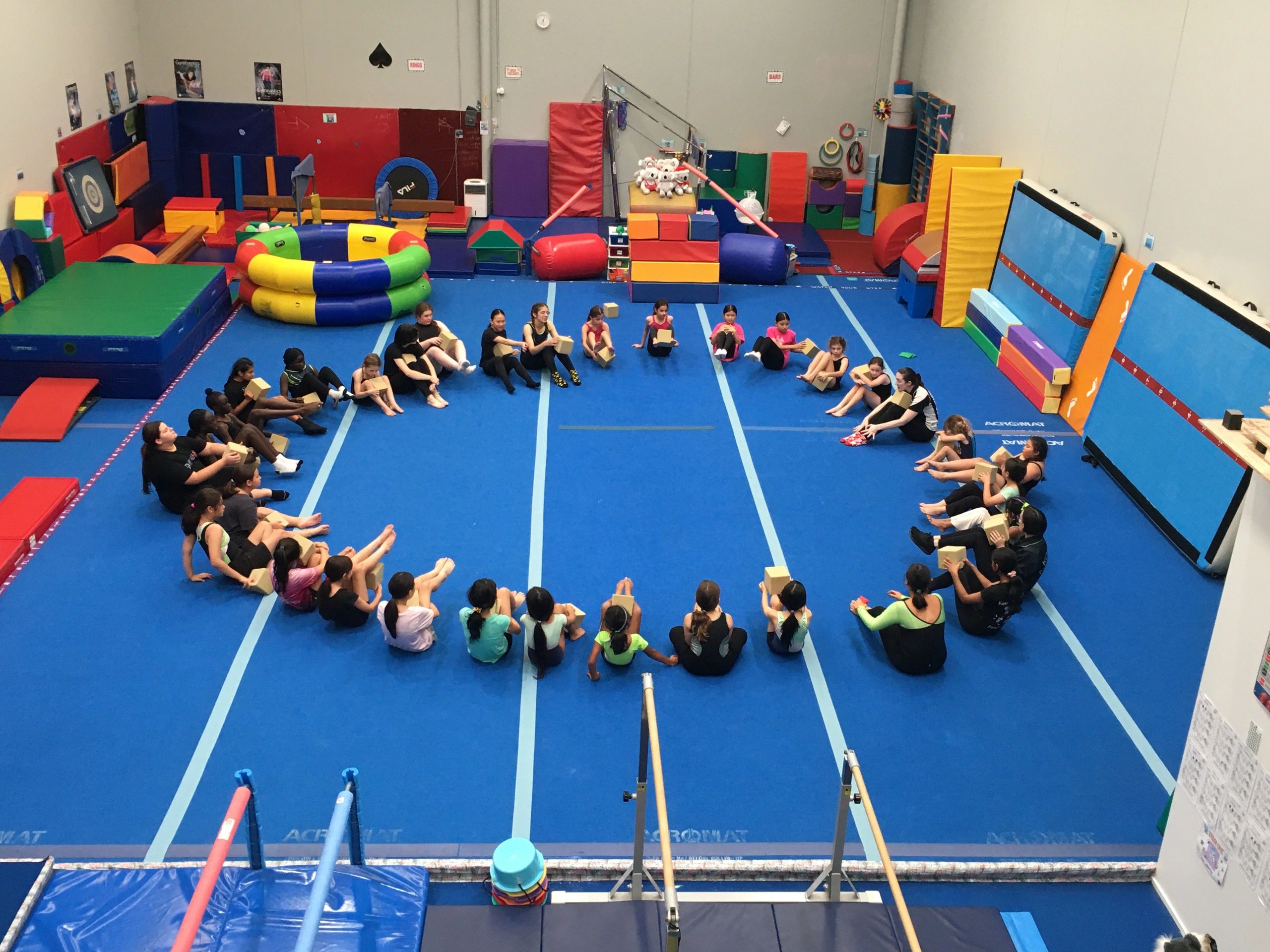 Koala Gymnastics and Dance - Home