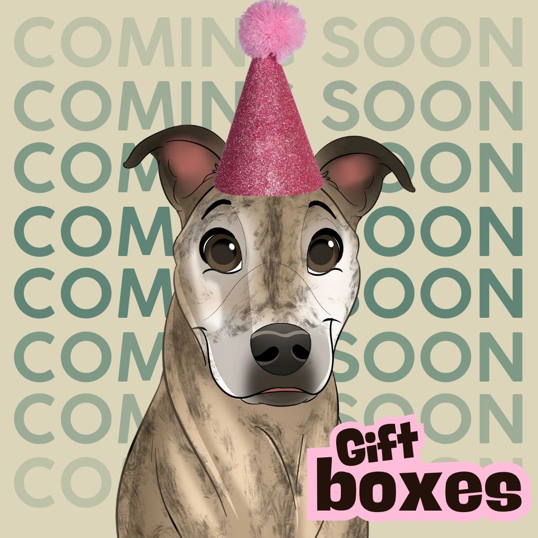 Spoil Me Silly Pack - International Dog Day Gift Box (Aug 26)