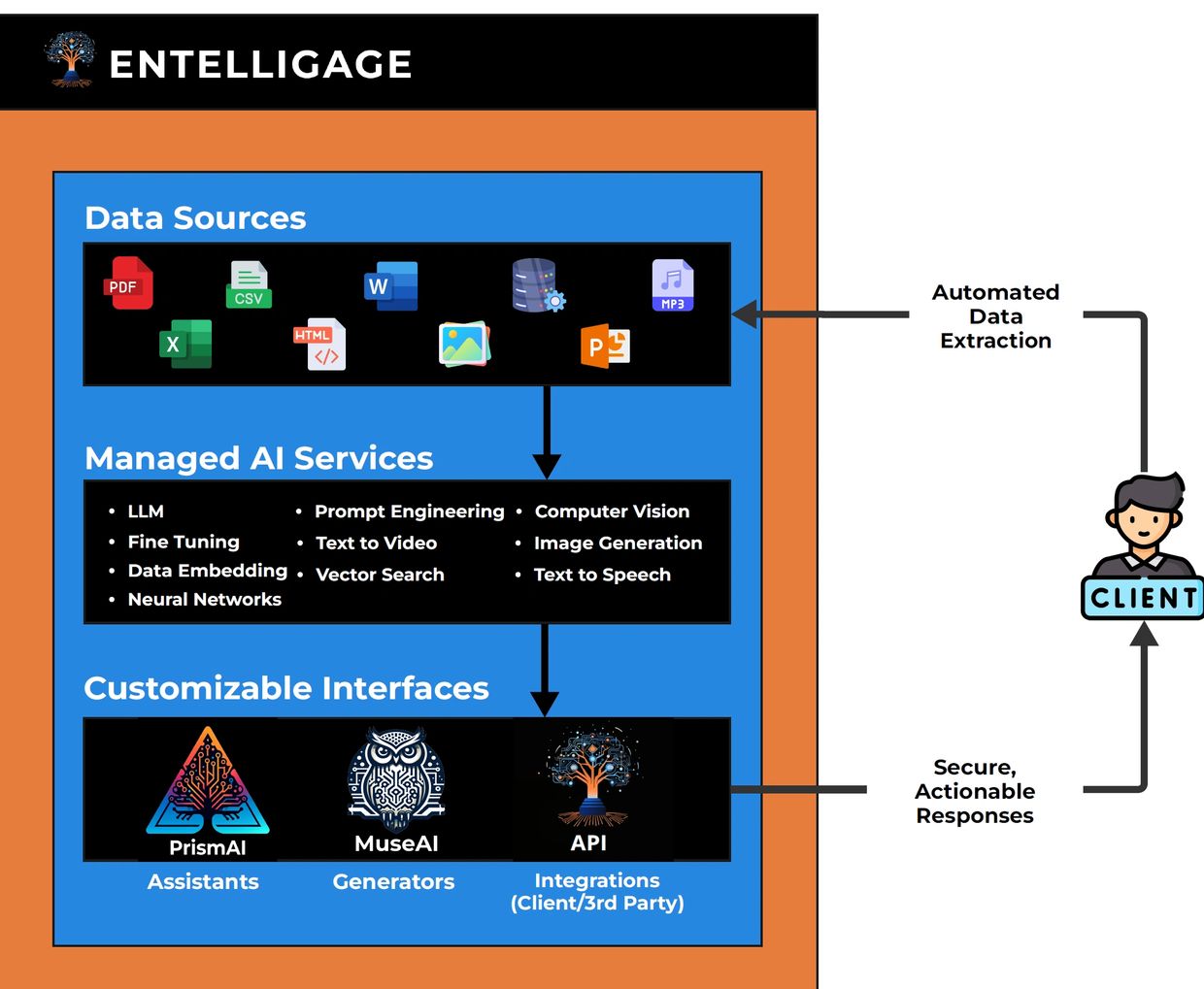 Custom AI Solutions | Entelligage