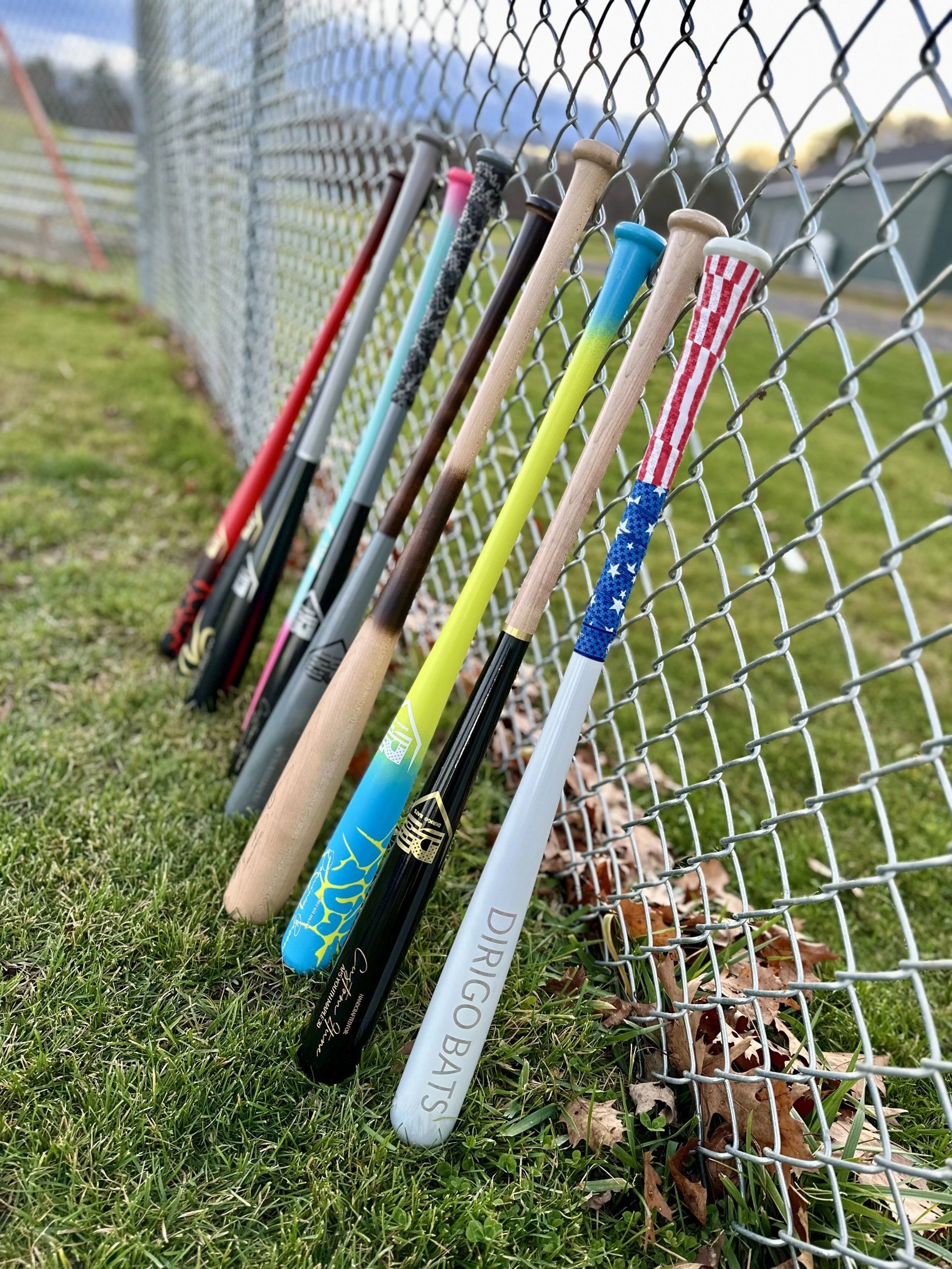 Dirigo Bats