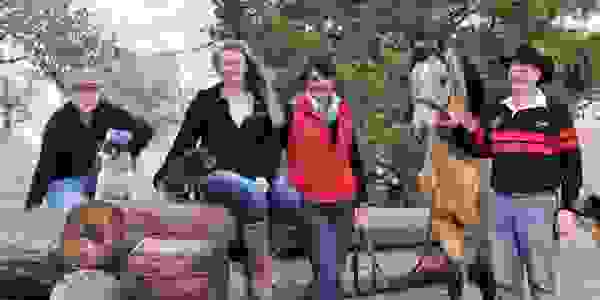 Johnson Performance Horses - Home