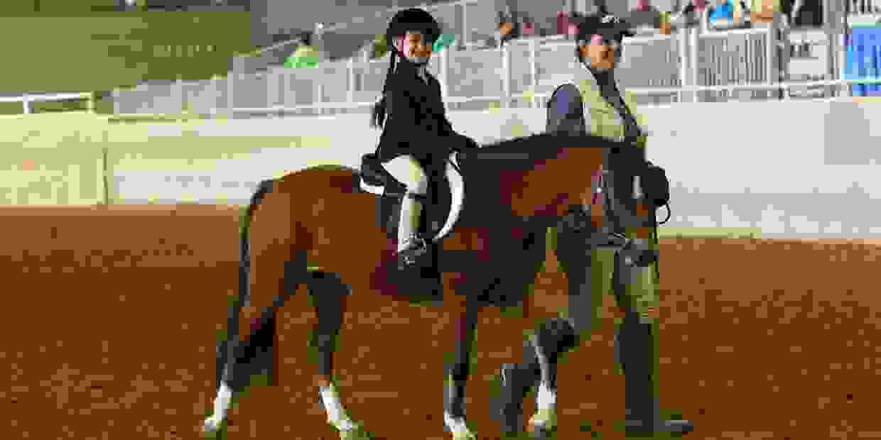 What do ponies cost | Johnson Performance Horses