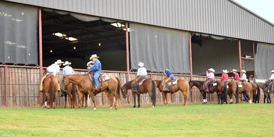 Johnson Performance Horses - Home