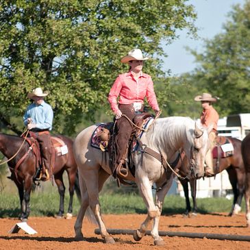 Johnson Performance Horses - Home