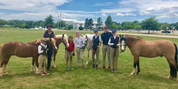 Johnson Performance Horses - Home