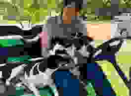 Johnson Performance Horses - Home