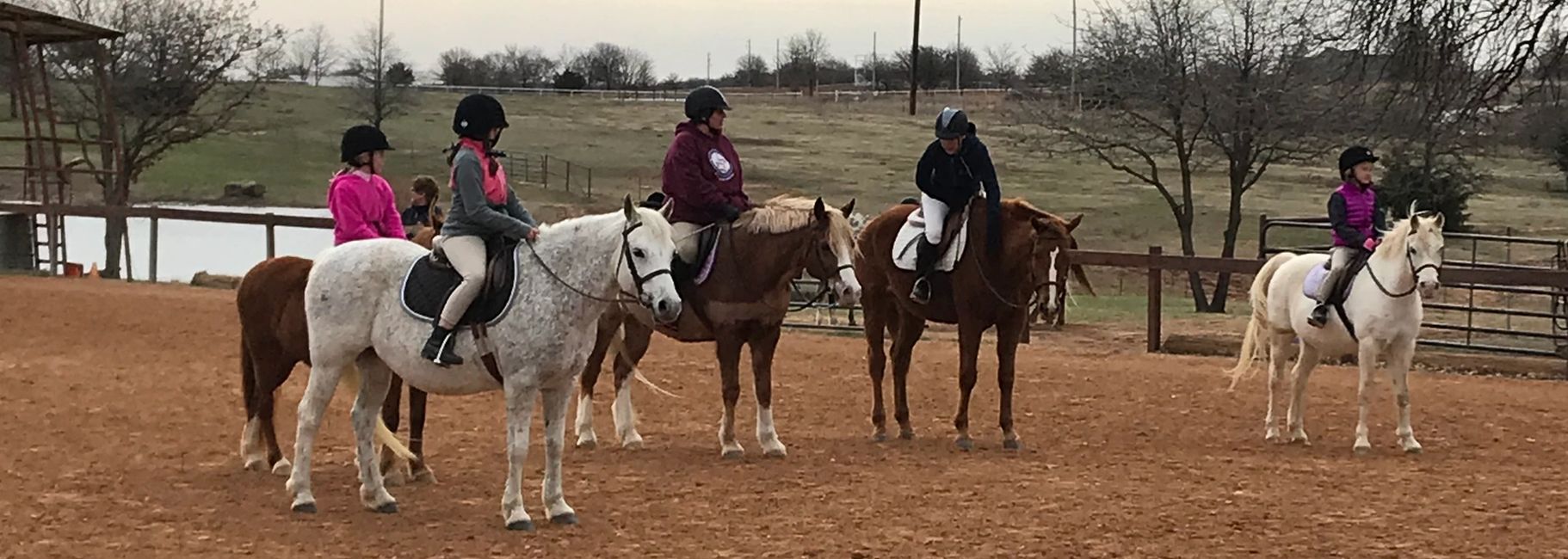 Leasing a Pony | Johnson Performance Horses