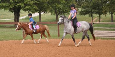 Johnson Performance Horses - Home