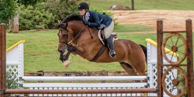 Johnson Performance Horses - Home