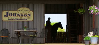 Johnson Performance Horses - Home