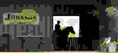 Johnson Performance Horses - Home