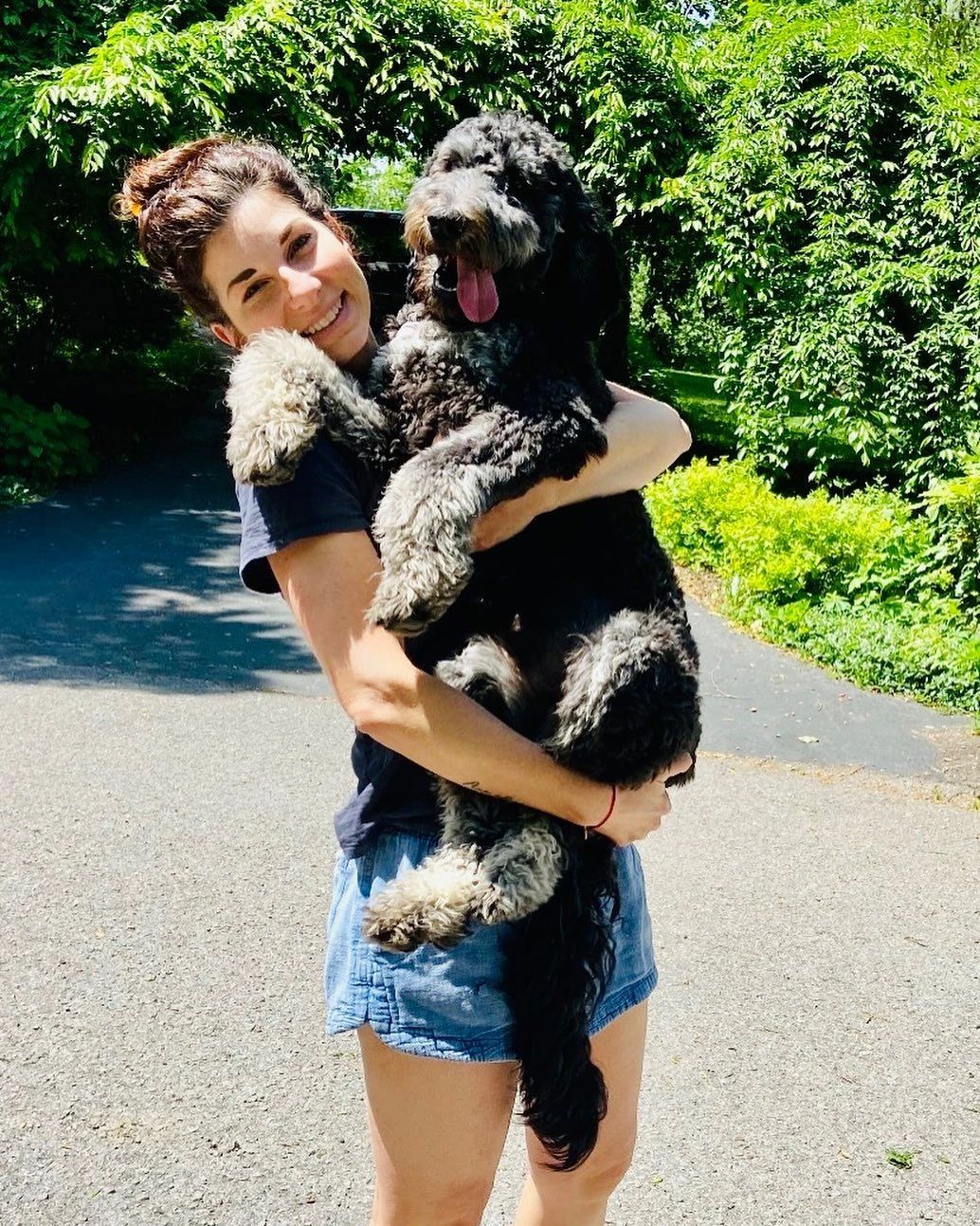 Rainbow Doodles - Doodles, Breeder, Doodles