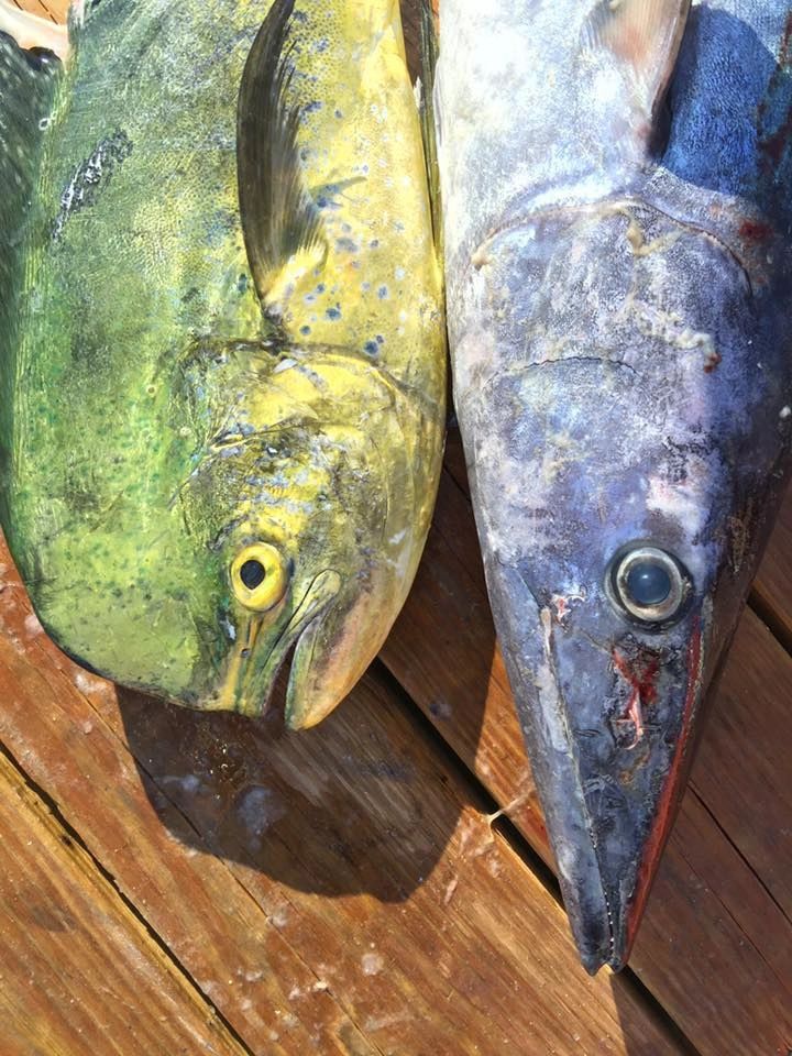 Dauphin Island - Dauphin Island Sport Fishing Charters