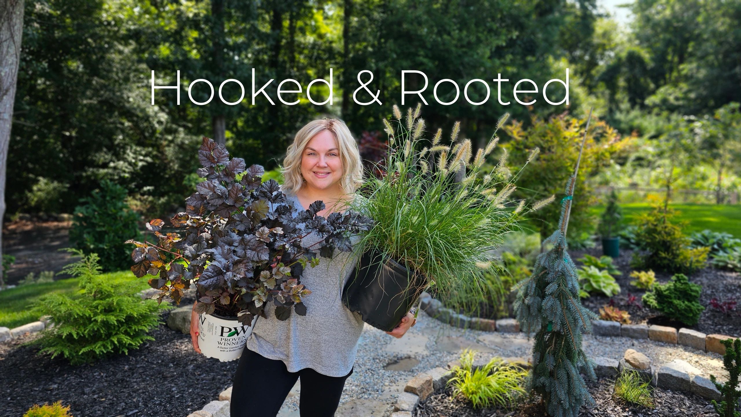 Hooked and Rooted - Beginner Landscaping Ideas, Diy Budget Landscaping ...