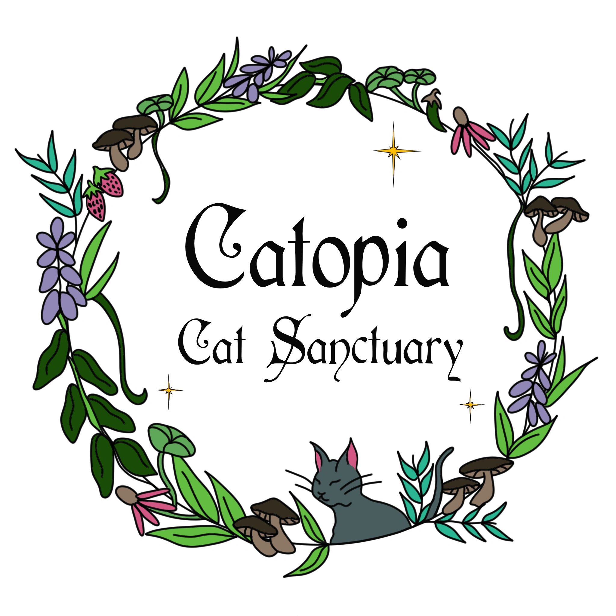 Welcome to Catopia - An Enchanted Haven for Cats