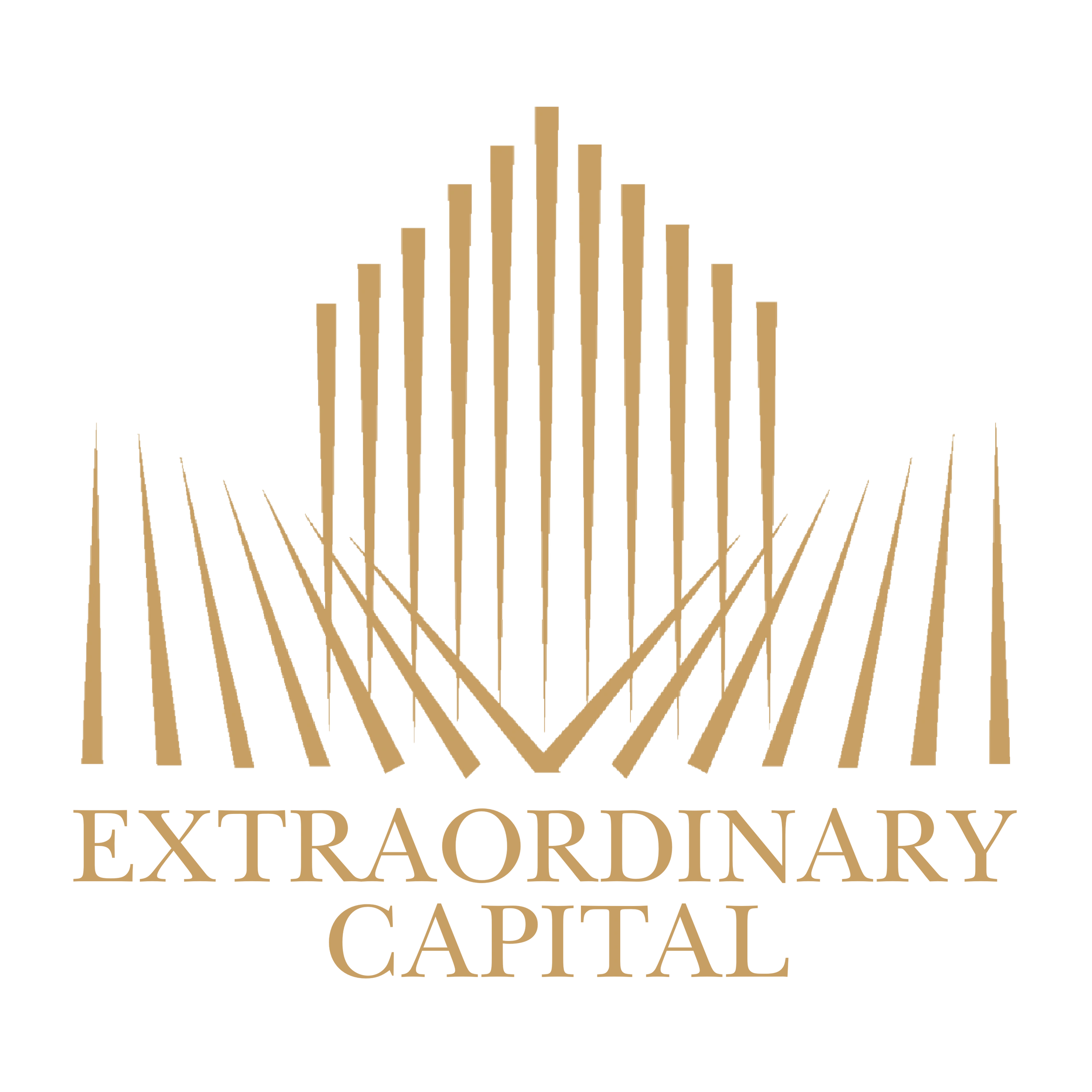 Extraordinary Capital