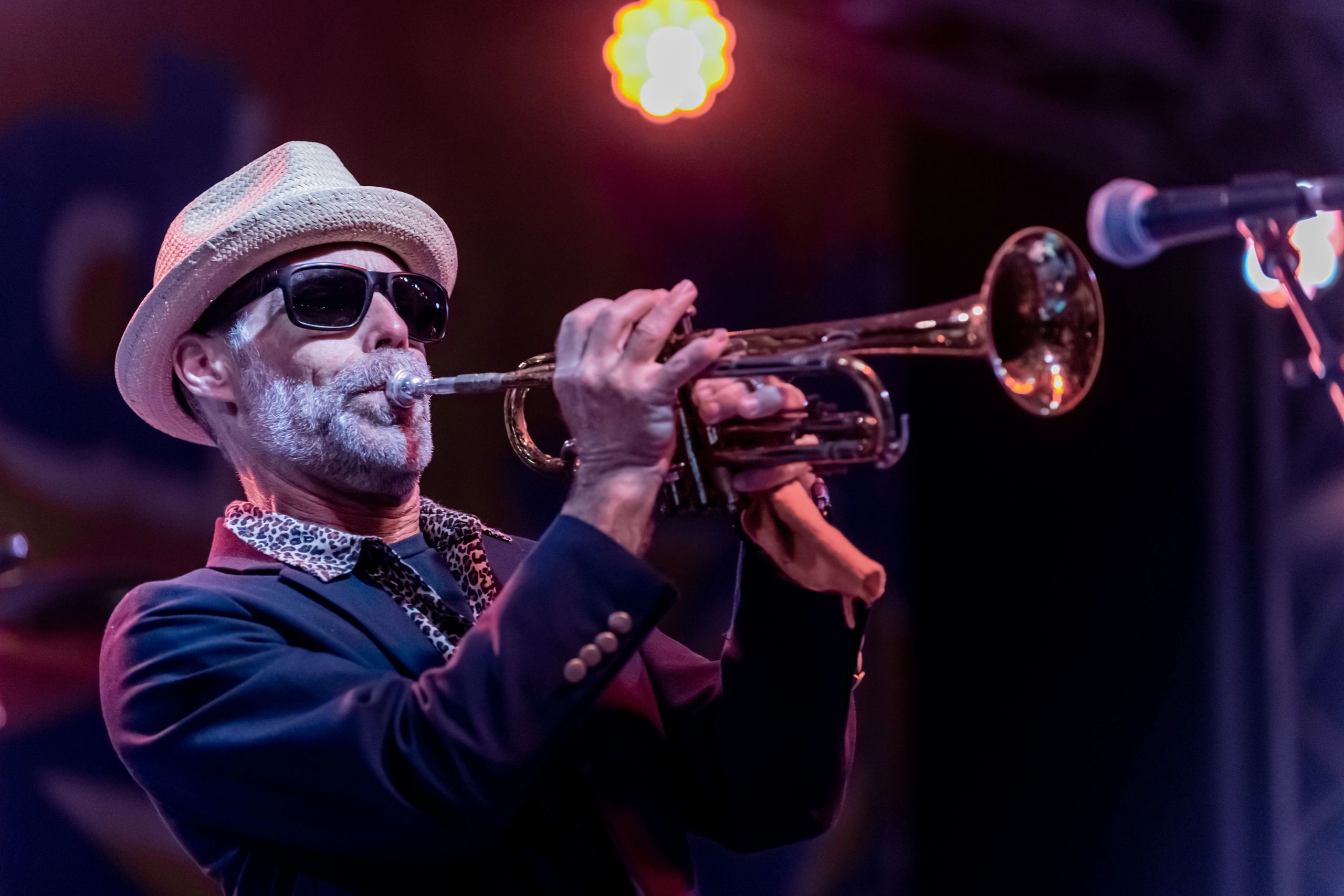 John Fretwell Music - Live Music - San Diego, California