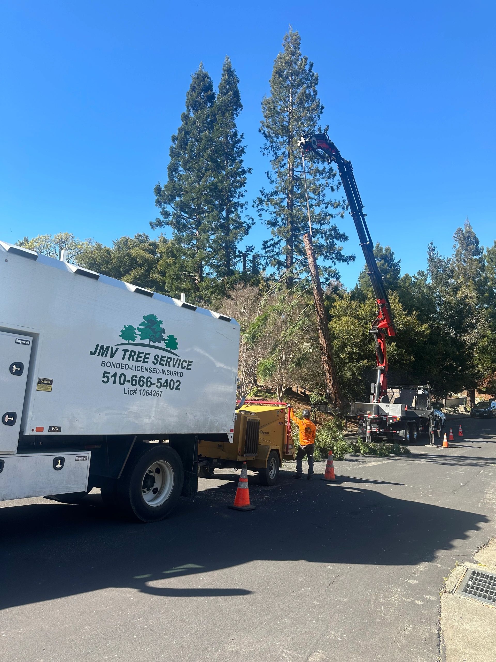 JMV TREE SERVICE