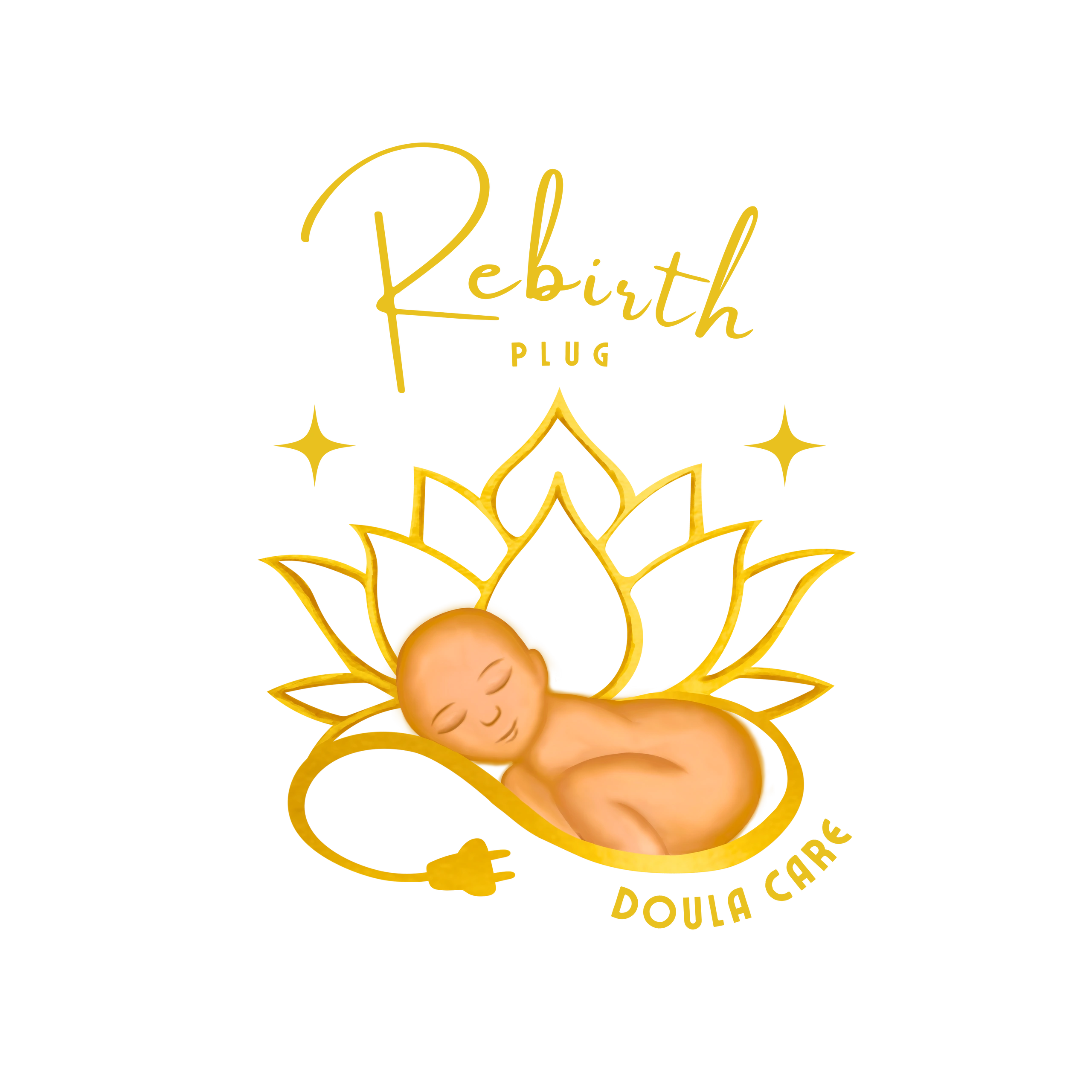 Home [rebirthplug.com]