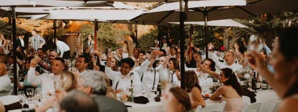 Mustard Seed Catering Co. - Catering, Caterer, Wedding