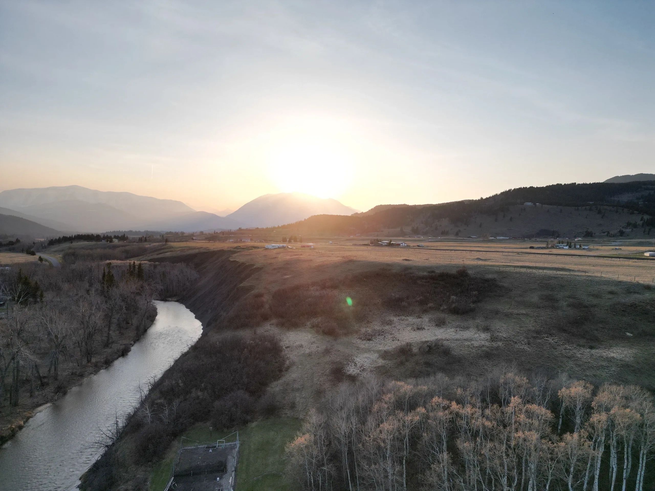 Wild Developments Ltd.