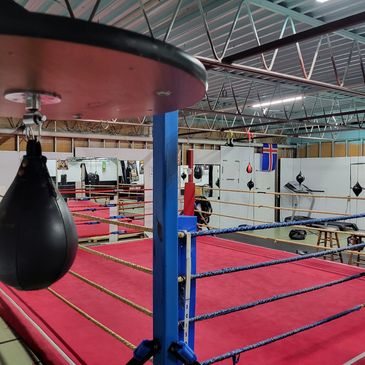Boxing - Blue Collar Boxing
