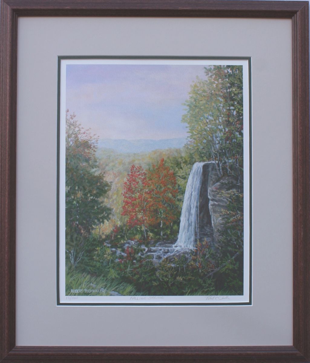 Falling Spring Framed Print