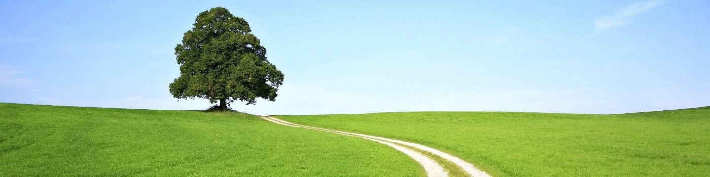 Ghengis Leadership Strategies, LLC
