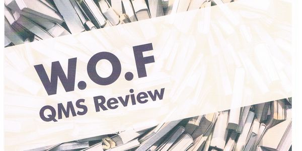 Business Systems Sorted - Warrant of Fitness, QMS Review | Business ...