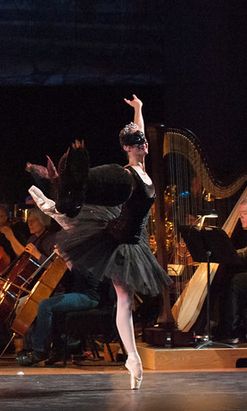 Professional Ballet School - Dance Education, Performing Arts