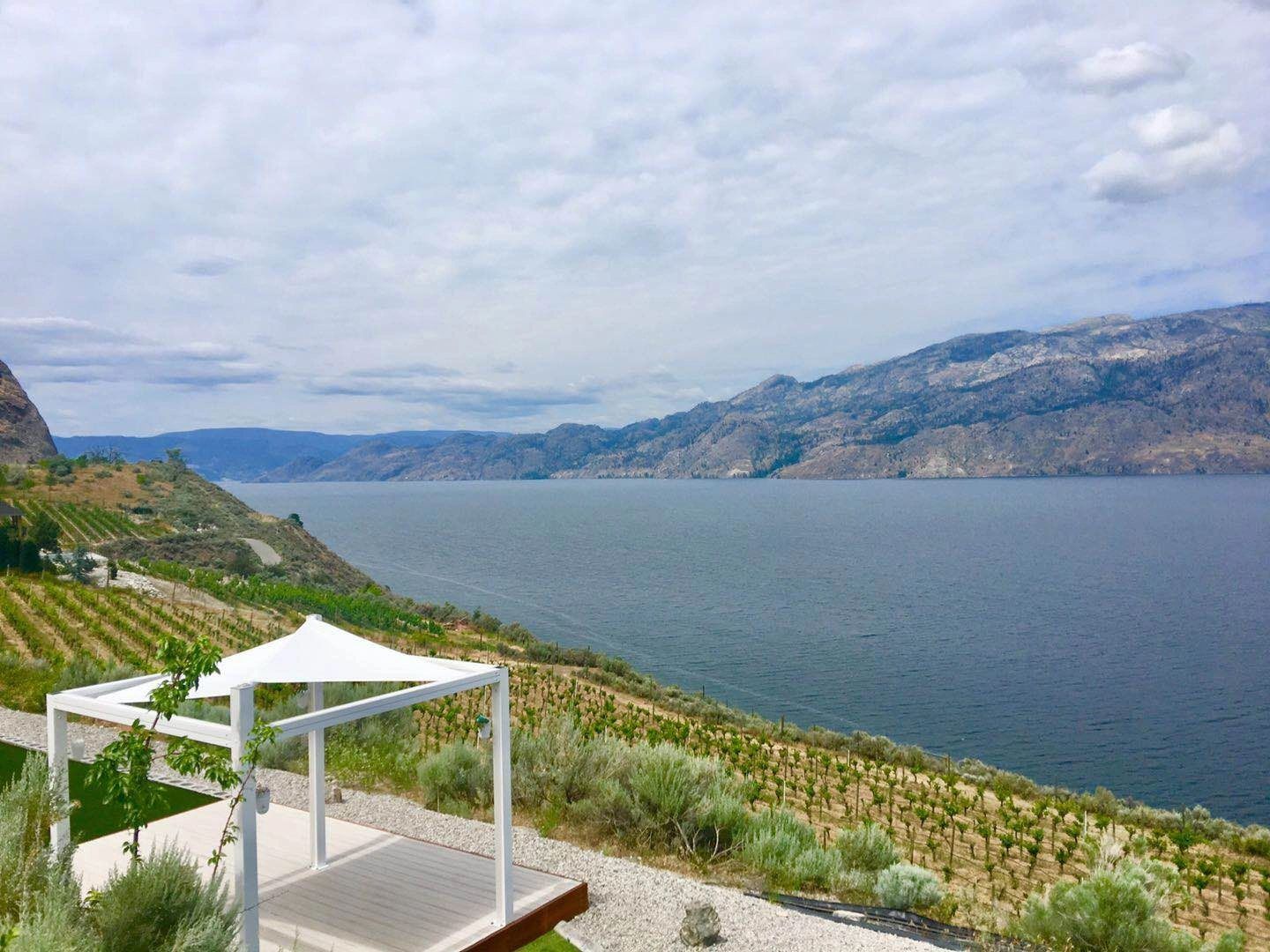 Observatory Wines