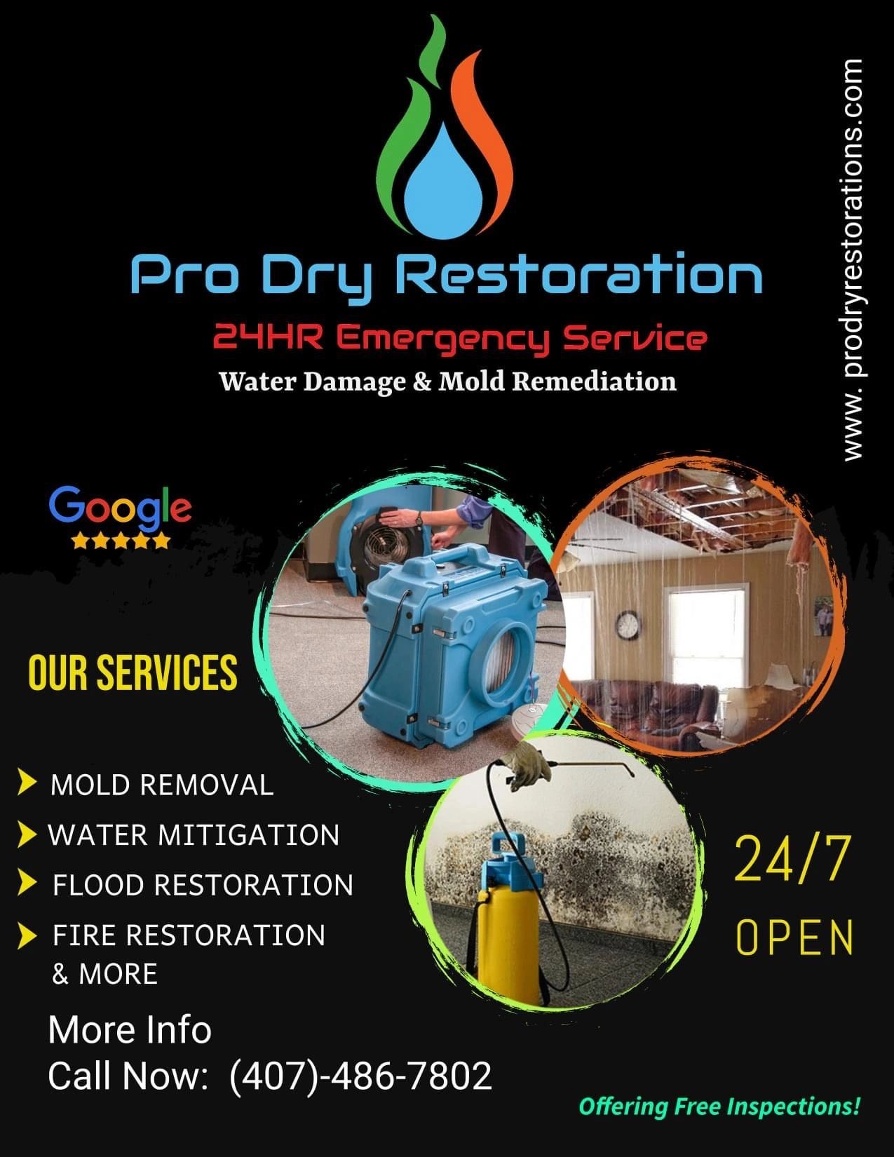 Pro Dry Restoration Water Damage Restoration and Mold Remediation ...