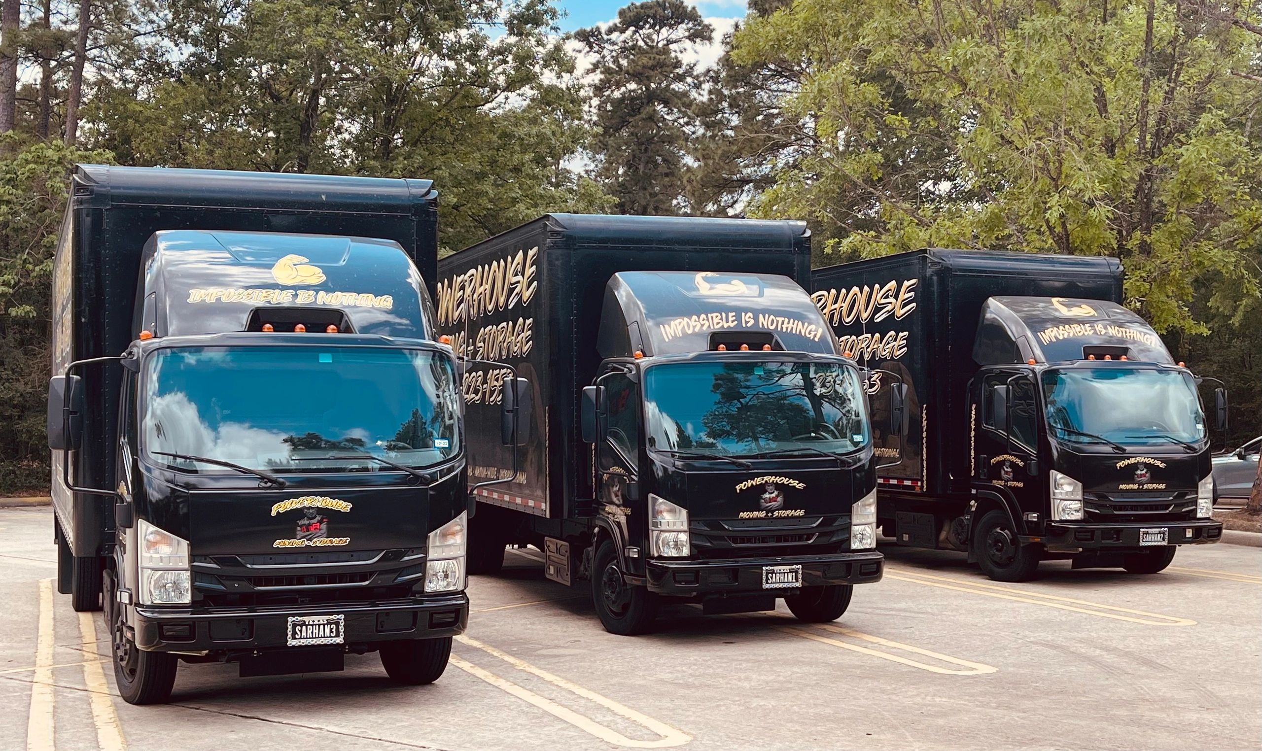 Professional Movers and Storage Services