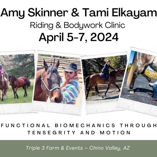 Triple 3 Farm & Events