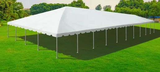 Cricket Party Services