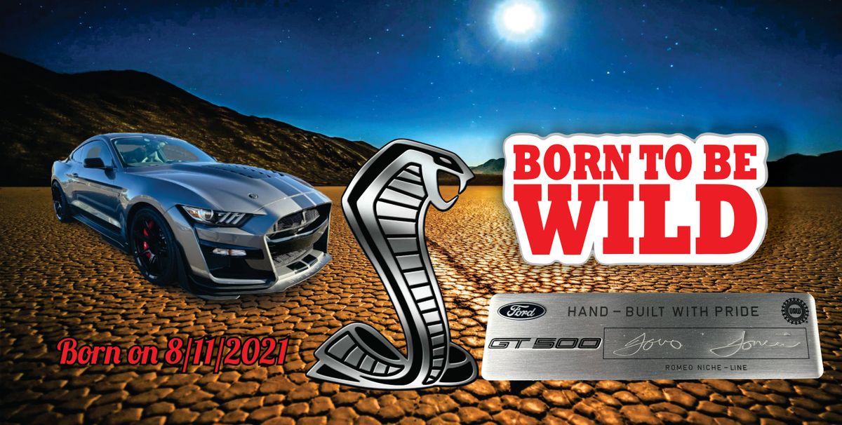 Custom Shelby Cobra Banner