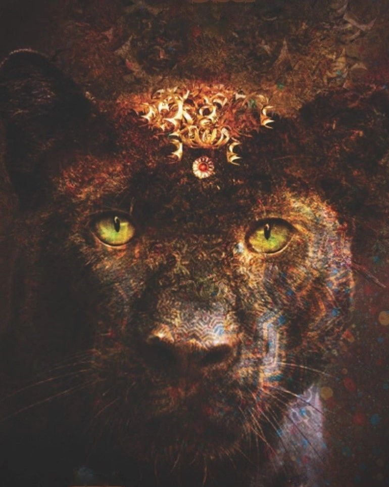 Home [animalspiritintuitive.com]