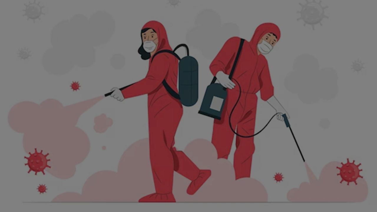 SERVICIOS | AXIRI CONTROLADORA DE PLAGAS