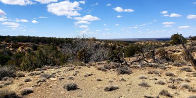 Gallery | Sierra Highlands Ranch