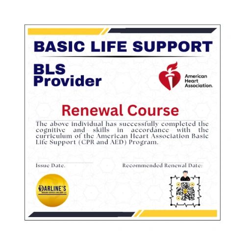 BLS Renewal