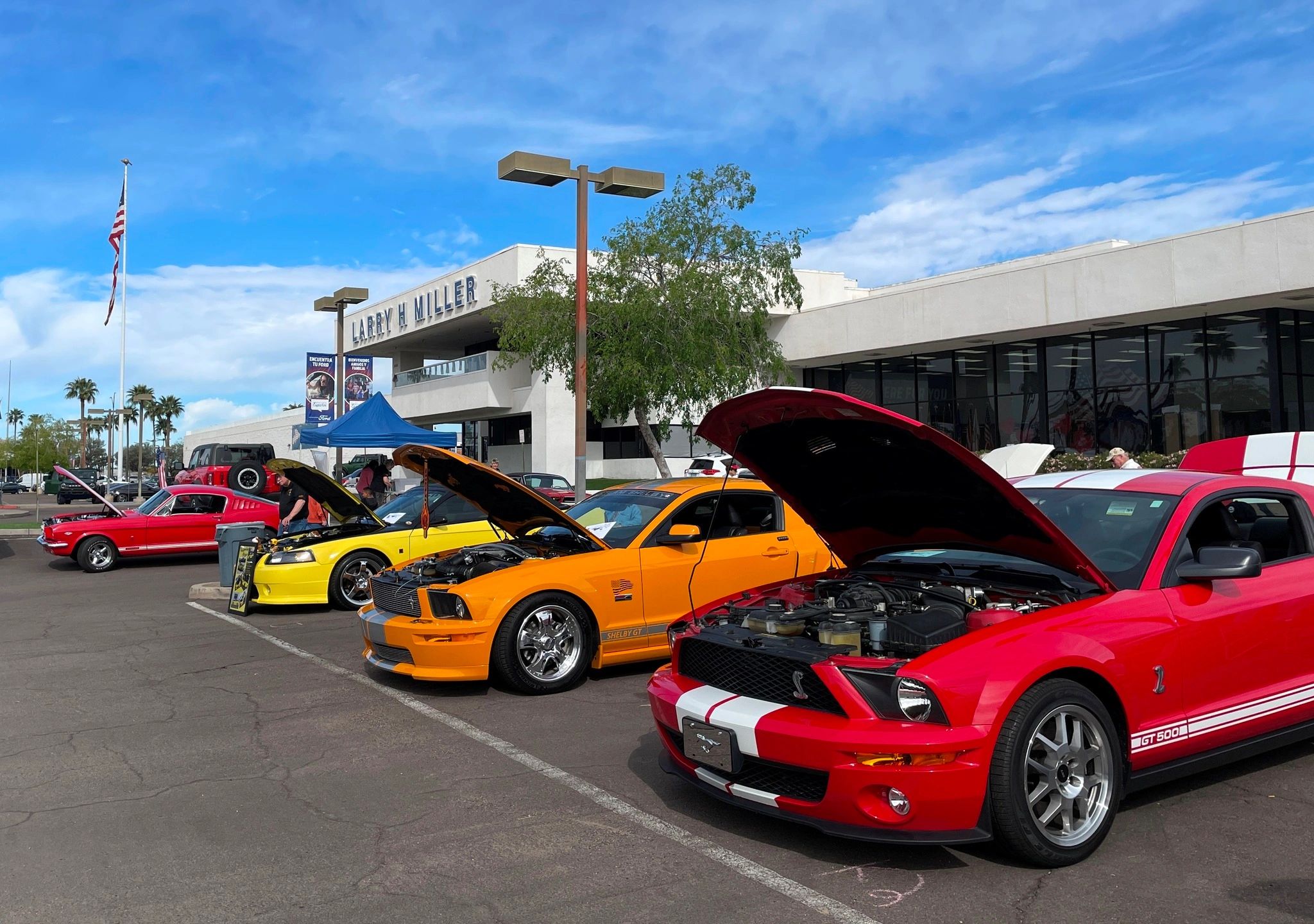 Join Phoenix's Ford MCA Mustang Car Club and Connect with Fellow ...
