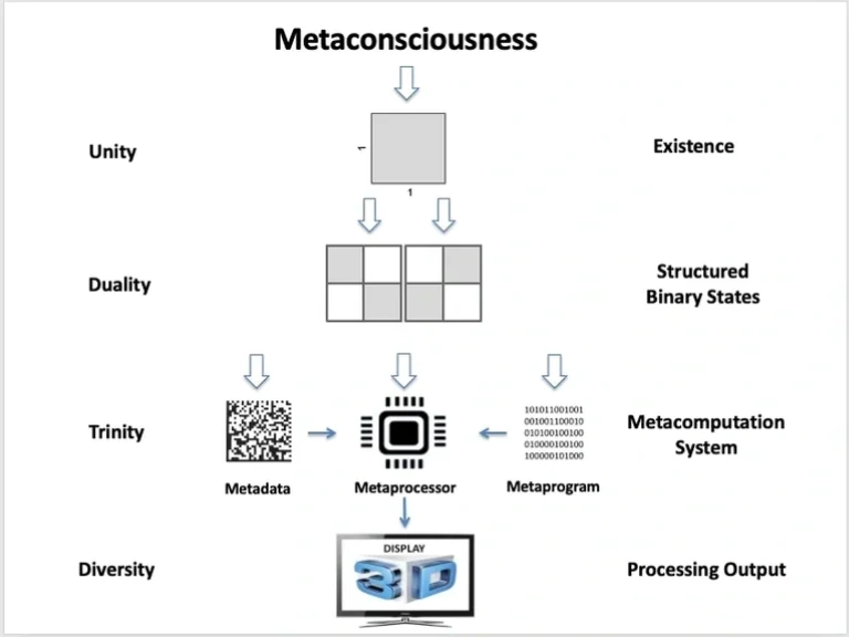 HOME [metacomputics.com]
