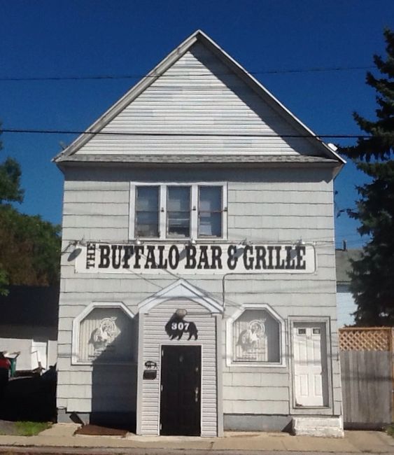 Buffalo Bar and Grille - Bar and Grill, Bar, Bars and Pubs