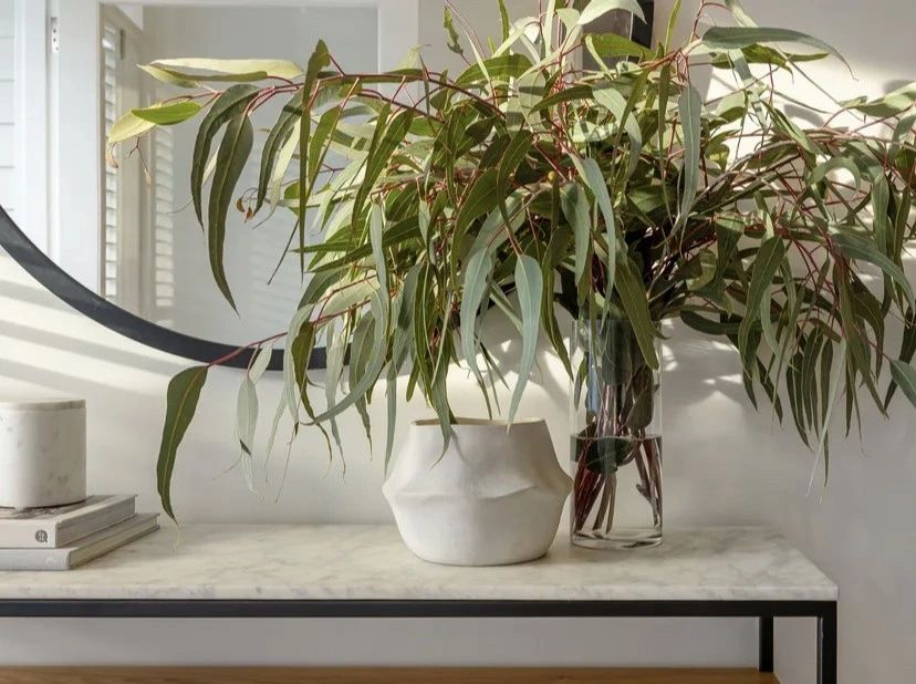 Nikki Hogan Interior Design