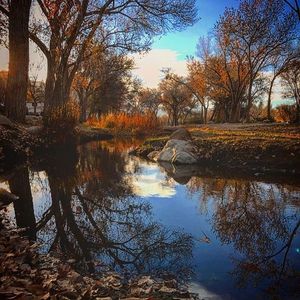 Campground - Rivernook Campground Inc.