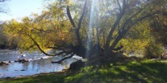 Campground - Rivernook Campground Inc.