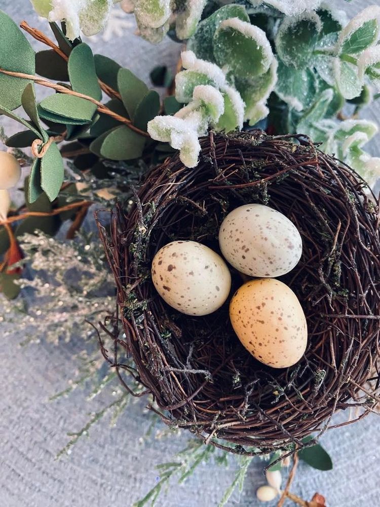 Fullnestforever - Parenting Adult Autism, Adult Autism