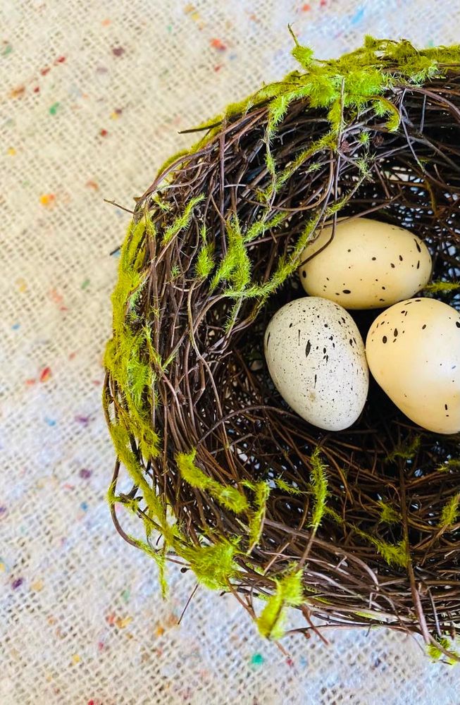 Fullnestforever - Parenting Adult Autism, Adult Autism