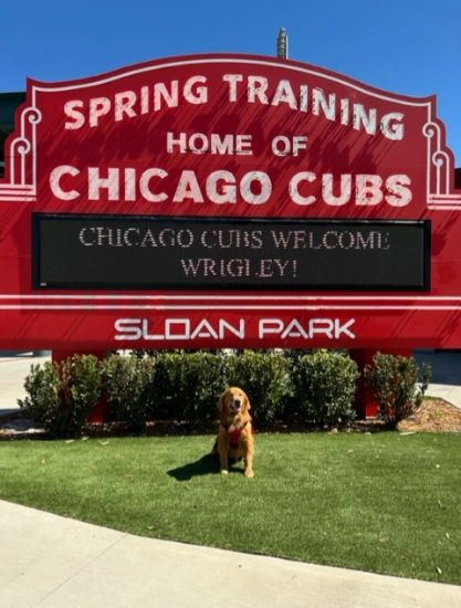 Wrigley with Chicago Cubs at Spring Training Facility