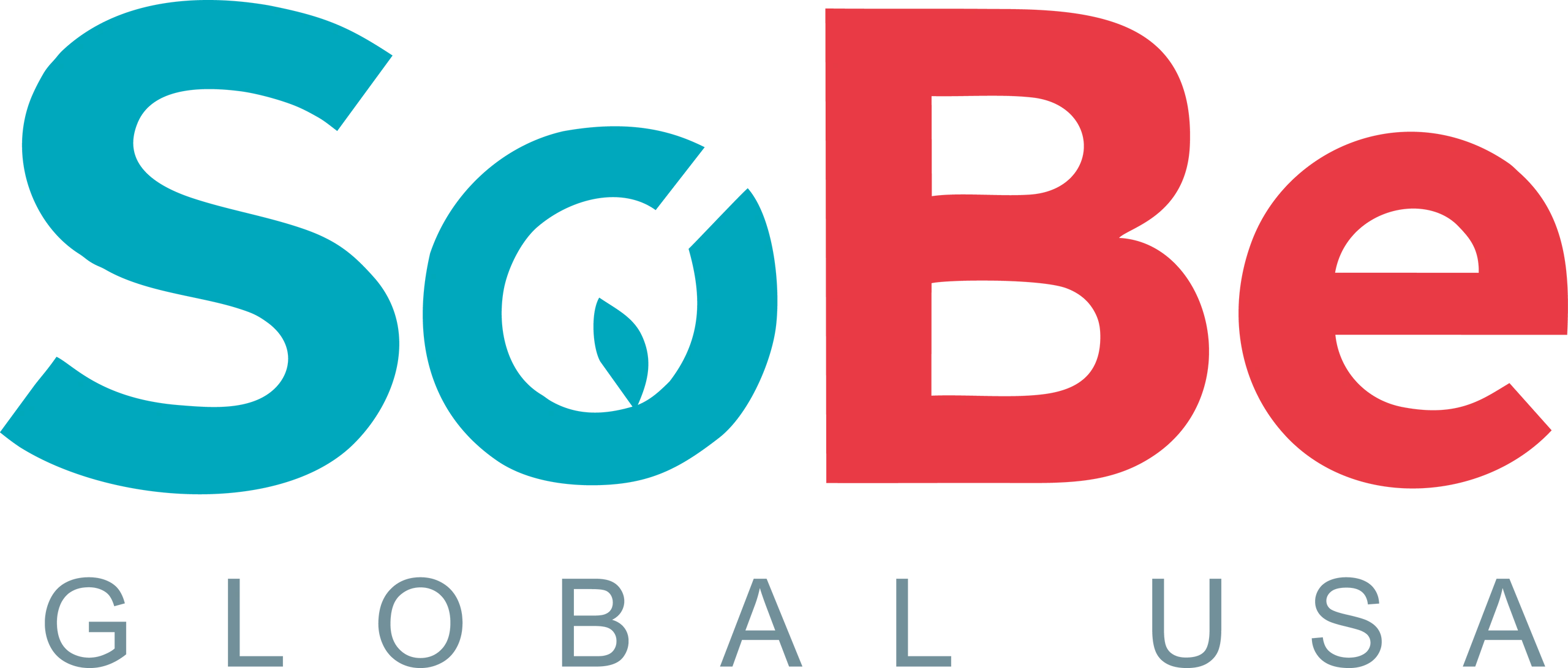 sobeglobalusa.com